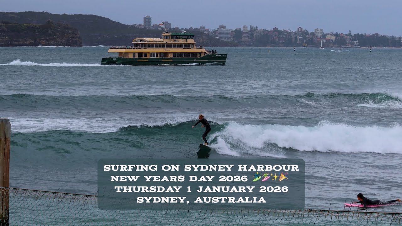 Surfing on Sydney Harbour - New Years Day 2026🏄🏻‍♂️🏄🏻‍♀️ 🎇 - YouTube