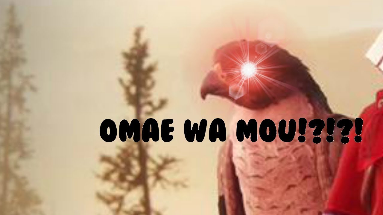 Minecraft bird meme but it's Hawthorne's bird - Destiny 2 - YouTube