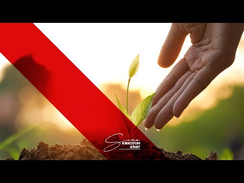 Orman Haftası 21-26 Mart