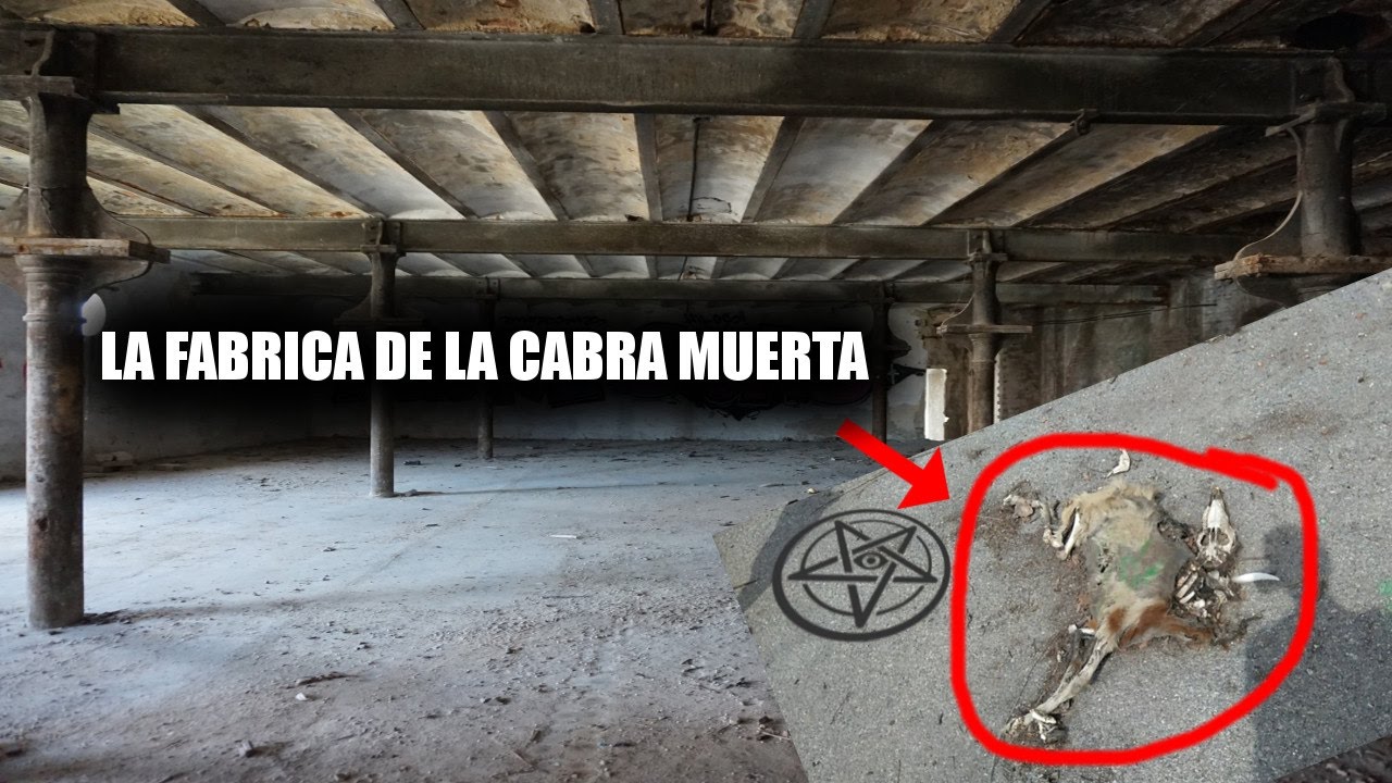 La fabrica de la cabra muerta - YouTube