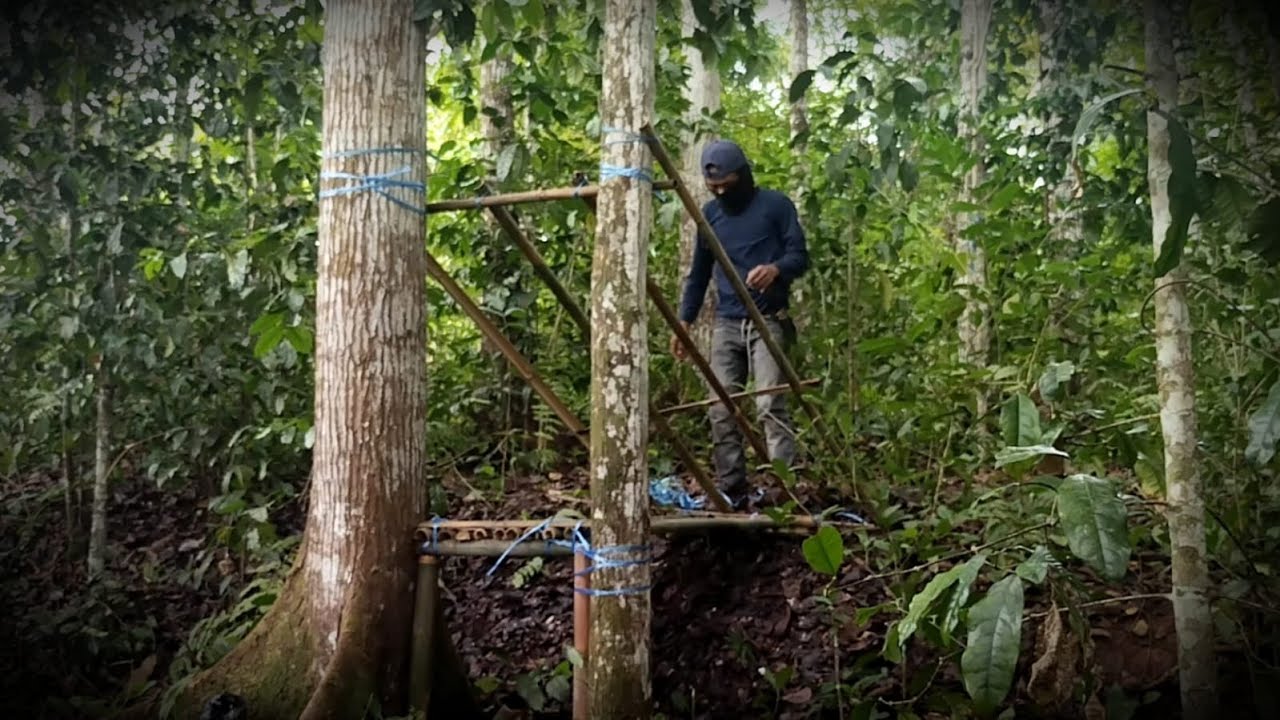 Membangun pondok bambu sederhana di antara dua pohon - YouTube