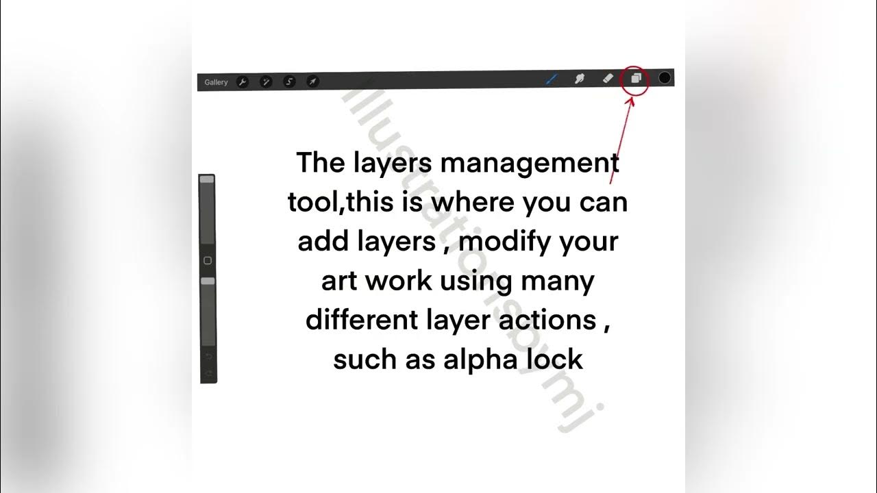 Procreate tutorial | Basic Features and Functions | Part 1| How to use the procreate app - YouTube