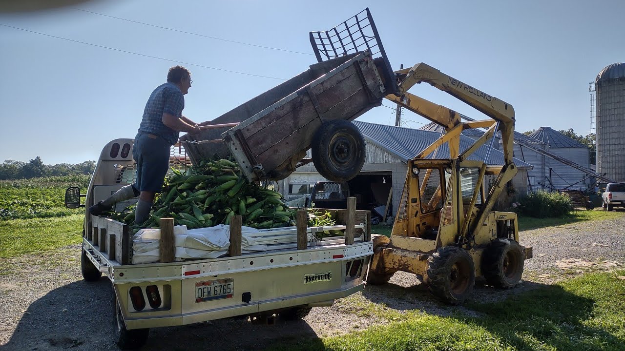 Pickup Truck Sweet Corn Sales - YouTube
