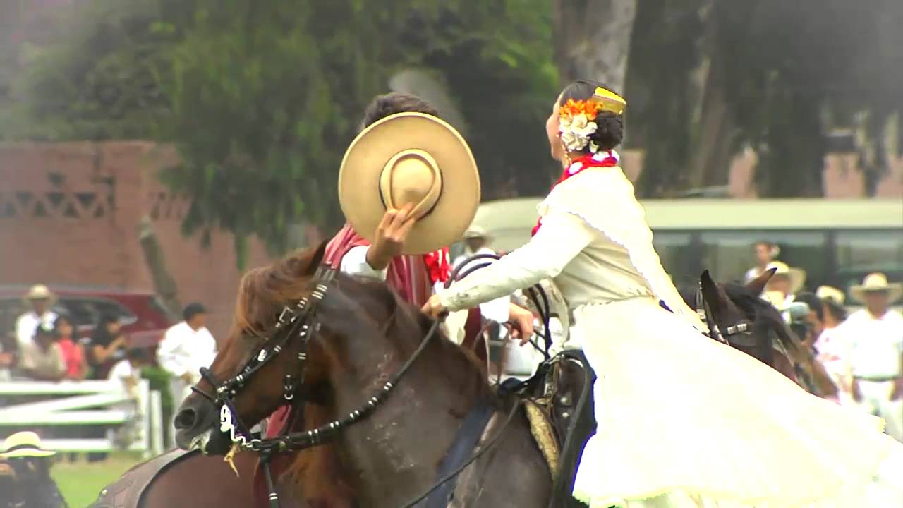 Día del Caballo de Paso Peruano en Circuito Mágico del Agua - YouTube