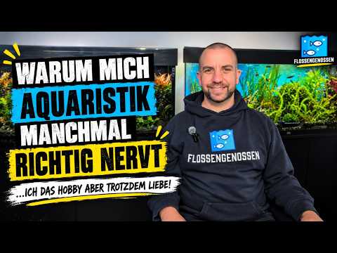 Warum mich Aquaristik manchmal richtig nervt... Meinung