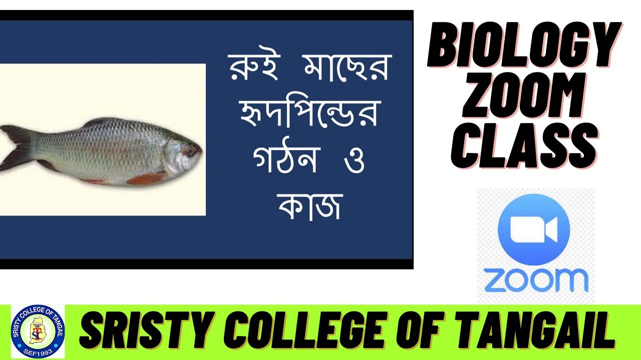 Biology Zoom class - YouTube