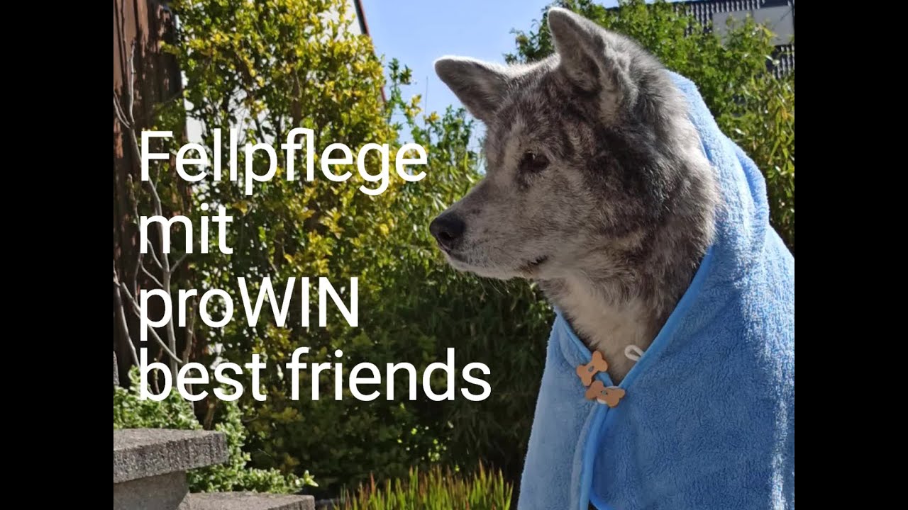 proWIN best friends Fellpflege - YouTube