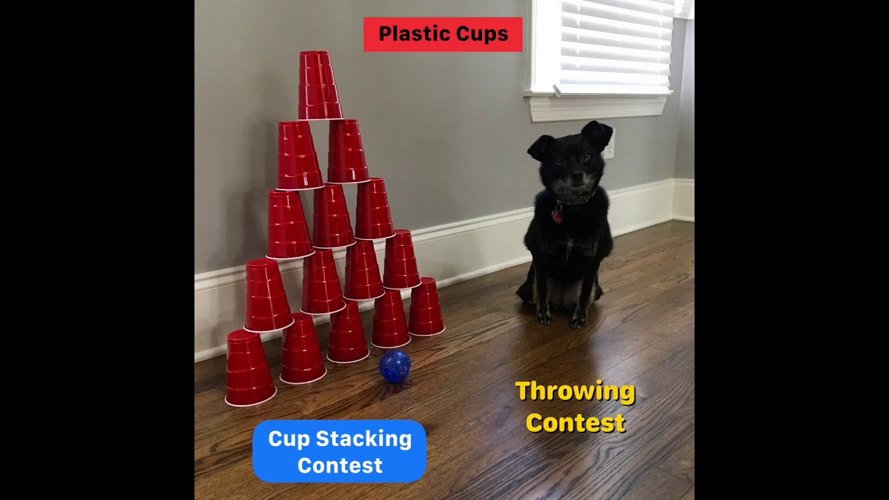 Ideas for Creating Your Own Virtual Field Day Events - YouTube