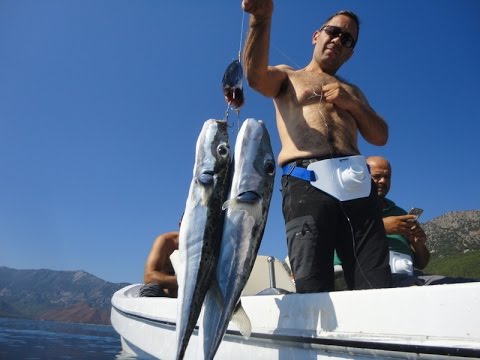 AKYA BEKLEDIK BALON BALIGI CIKTI - www.adrasanbalik.com