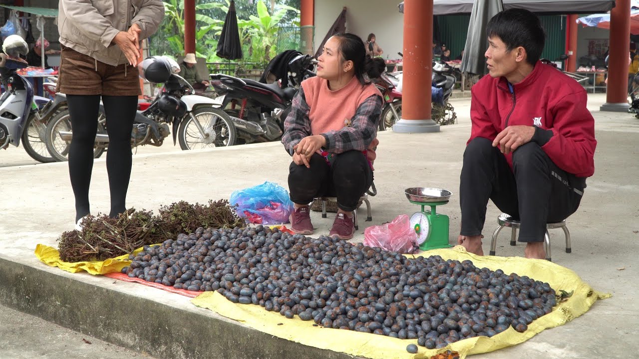 Harvesting Palm Fruit & Forest Pepper Goes to the market sell | Lý Thị ...