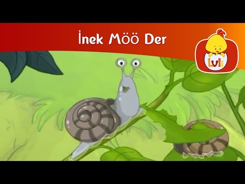 İnek Möö Der - Salyangoz, Luli TV