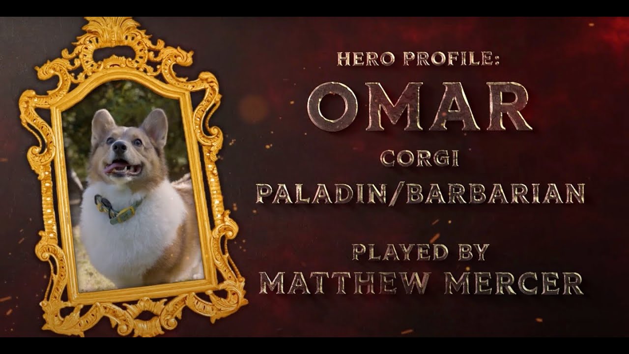 Meet Omar, the Corgi Paladin/Barbarian | Puppy Roll Hero Profile - YouTube