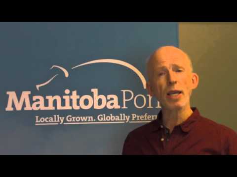 Chair George Matheson discusses sow group housing