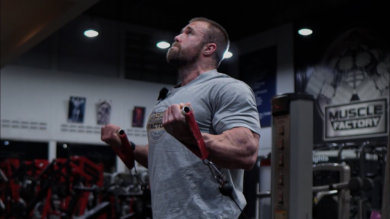 BULK | DAY 160 - Arms - YouTube