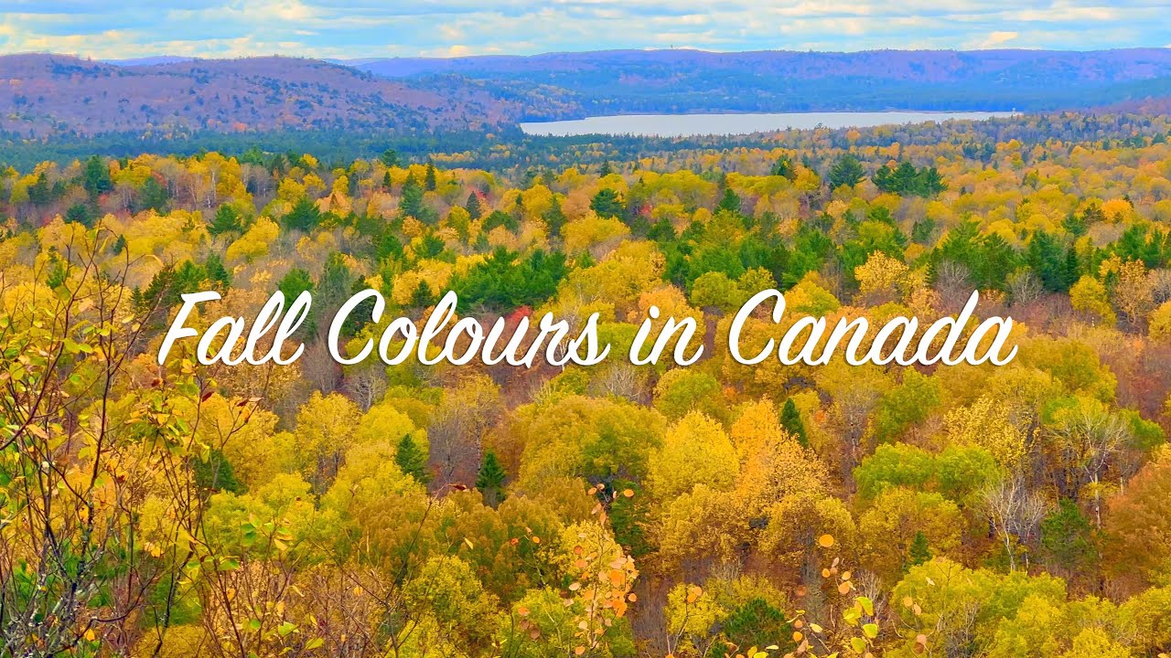 4K Fall Colours in Canada | Algonquin | Highway60 | Lookout Trail ...