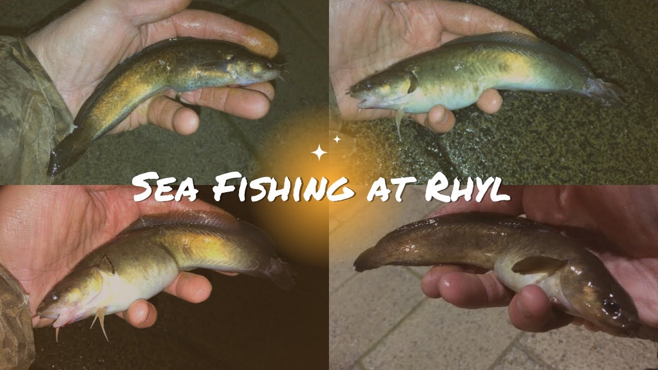 Sea fishing at Rhyl, the first session of the holiday and chatting with ...
