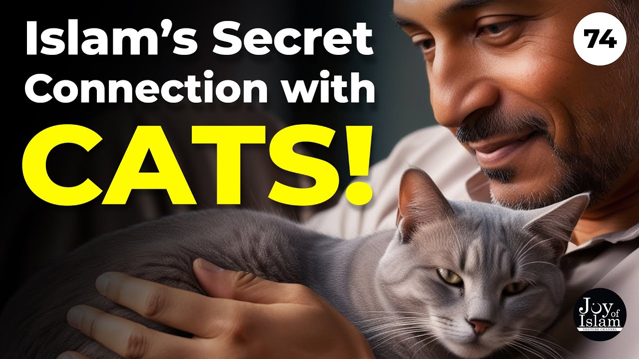 What Makes Cats Special in Islam? - YouTube