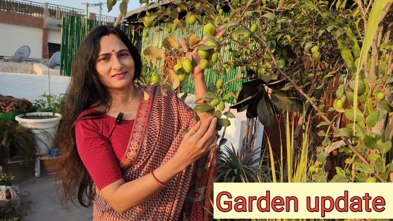 Winter garden update with gardening tips | Rashmi's World - Create to Decorate - YouTube