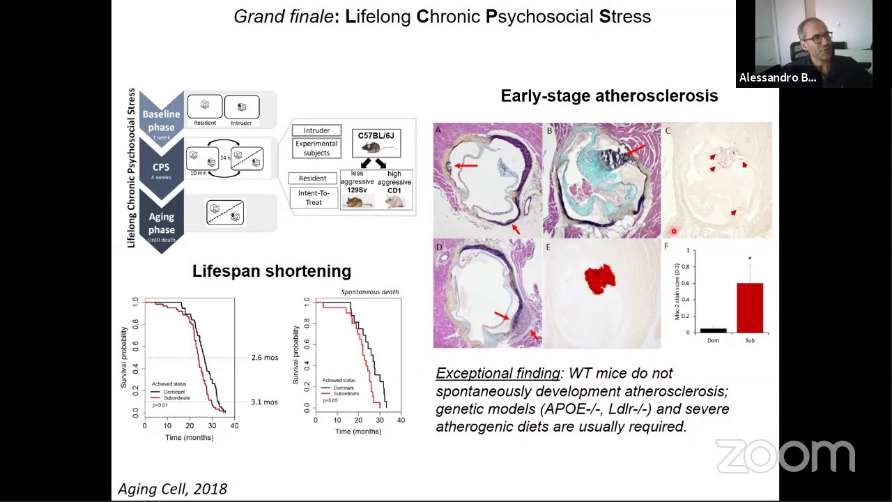 Weekly Cardiometabolism Seminars - YouTube