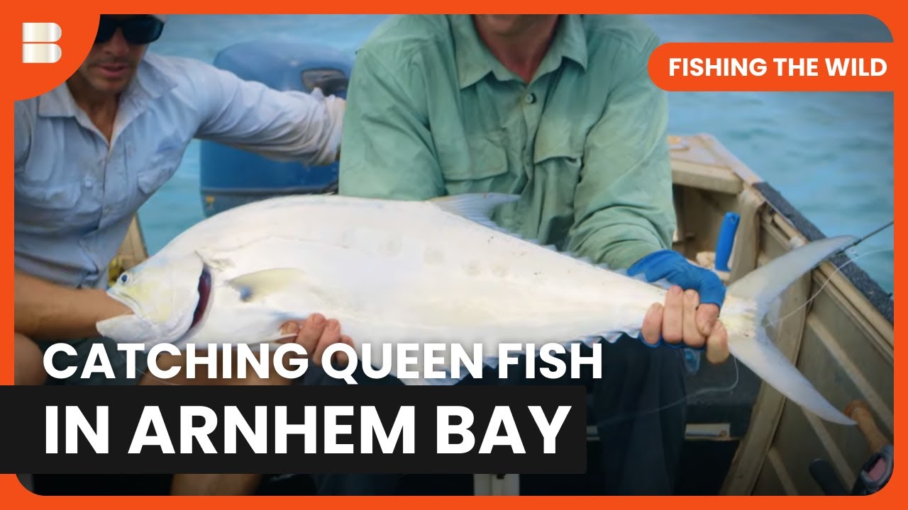 Catching Trevally and Queen Fish - Fishing The Wild - S01 EP04 - Nature ...