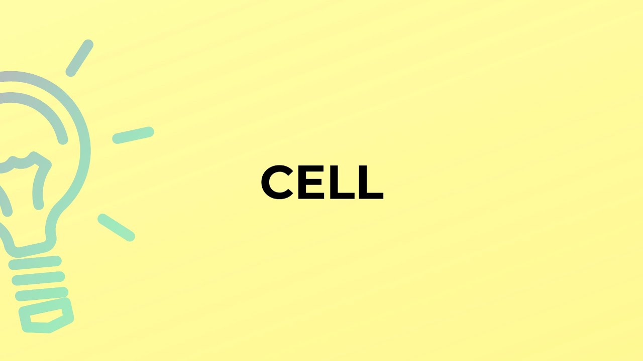 What is the meaning of the word CELL? - YouTube