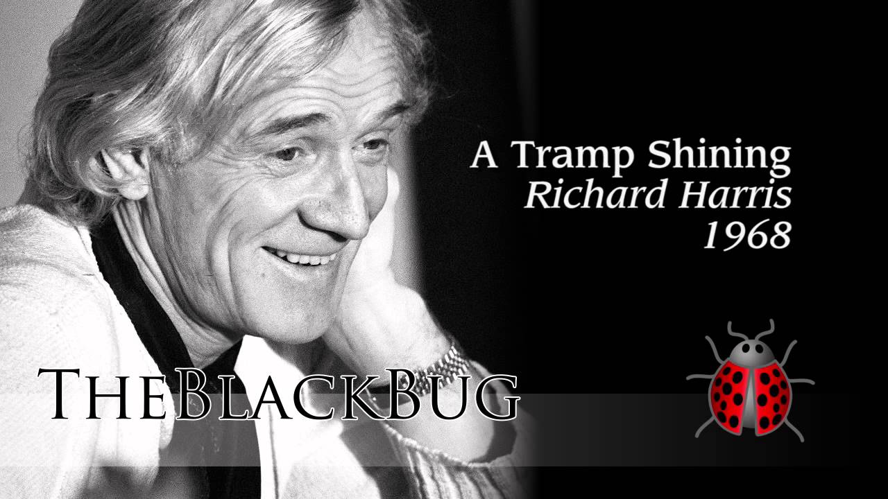 A Tramp Shining - Richard Harris 1968 - YouTube