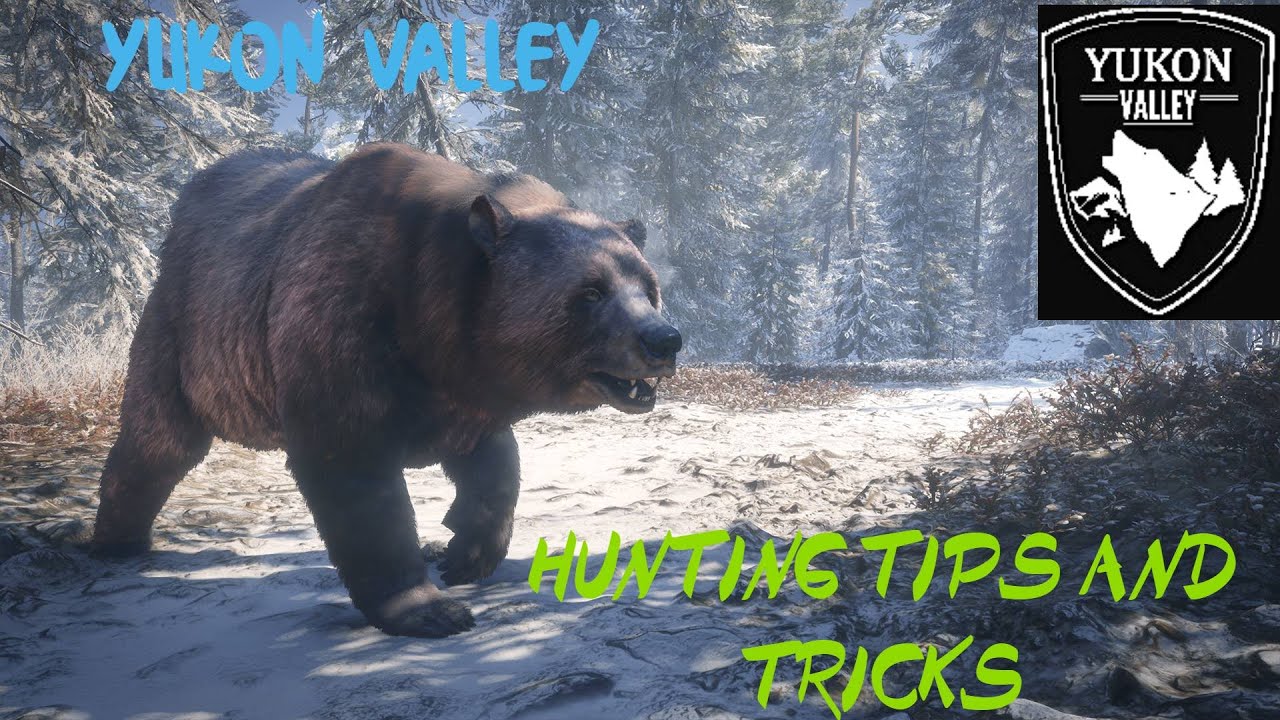 Yukon Valley Tips And Tricks (The Hunter Call Of The Wild Yukon Valley ...