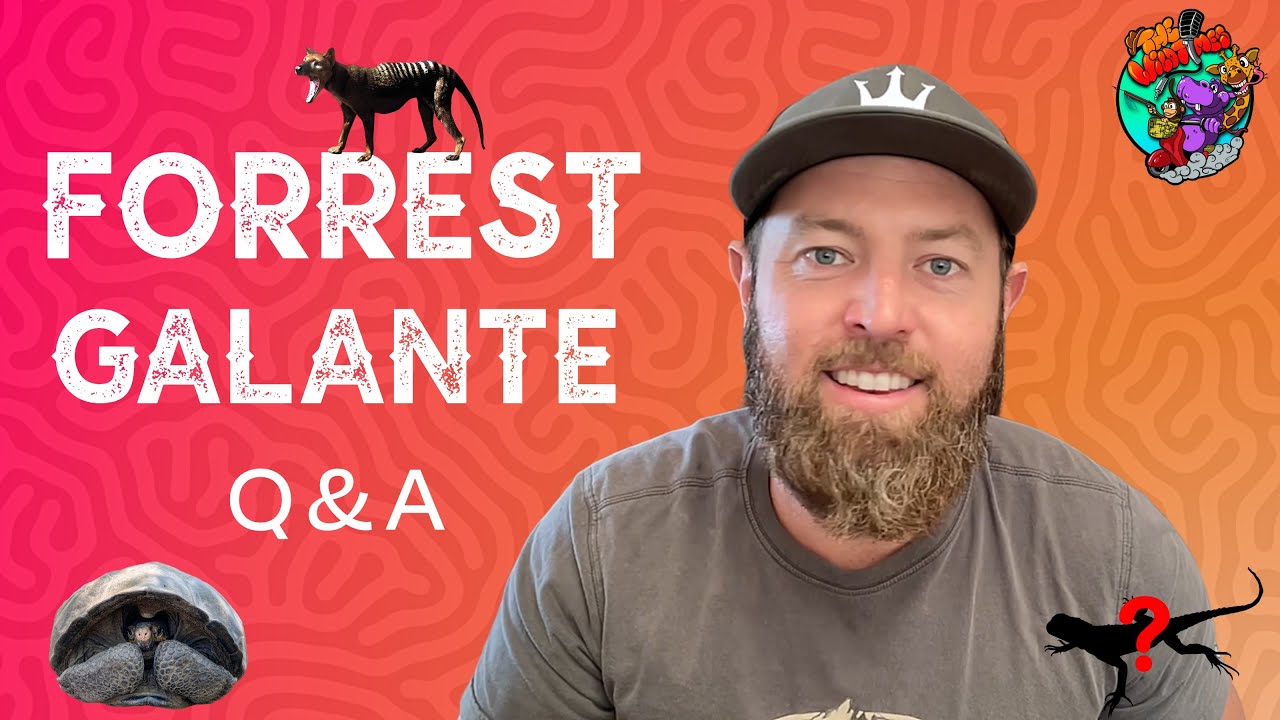 Forrest Galante Answers Your Questions (Q&A) - YouTube