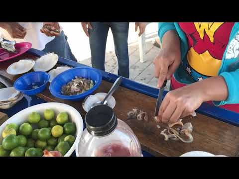 Preparación de Almeja Reyna | Altata - Semana Santa 2019 - YouTube