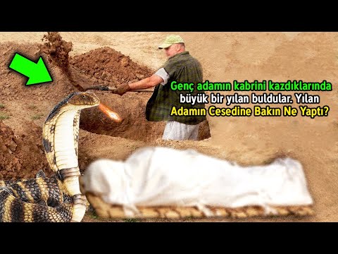 Genç Adamın Kabrini Kazdıklarında Büyük Bir Yılan Buldular. Yılan Adamın Cesedine Bakın Ne Yaptı?