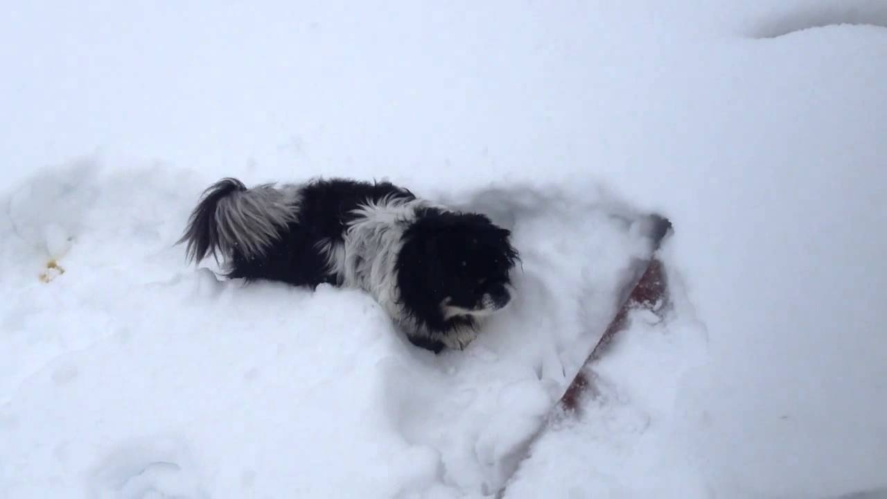 Fluffy stuck - YouTube