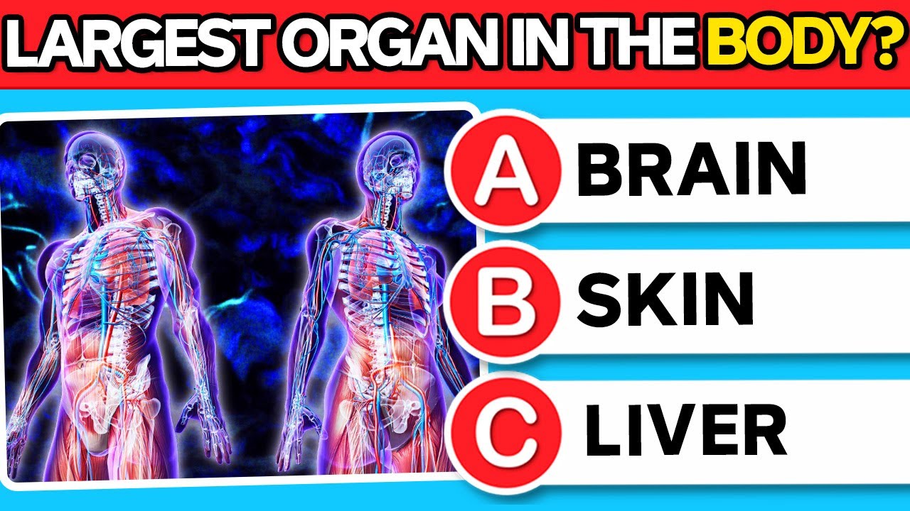 🧠 Test Your General Knowledge? Quiz Game! 🤯 Hard Level! Trivia ...