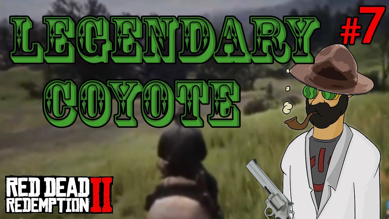 RED DEAD REDEMPTION 2 - Legendary Coyote - Stream Gameplay Part 7 - YouTube