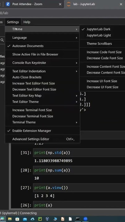 Jupyter Lab Change Theme to dark/light background - YouTube