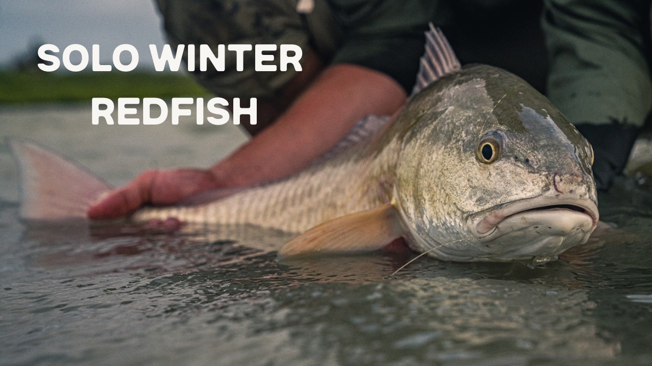 Winter Redfish on Fly | Solo Skiff Fishing - YouTube