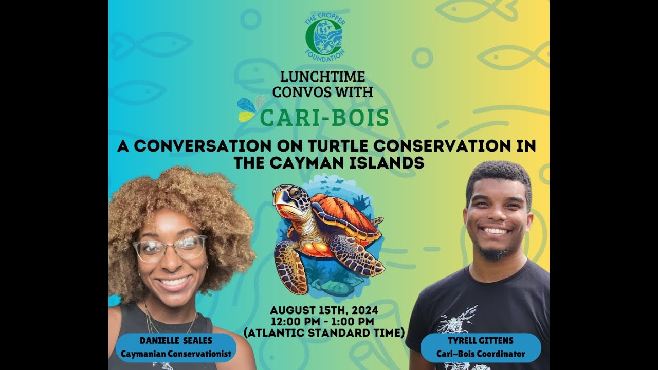 How The Cayman Islands Protect Turtles (Convos with Cari-Bois #2) - YouTube