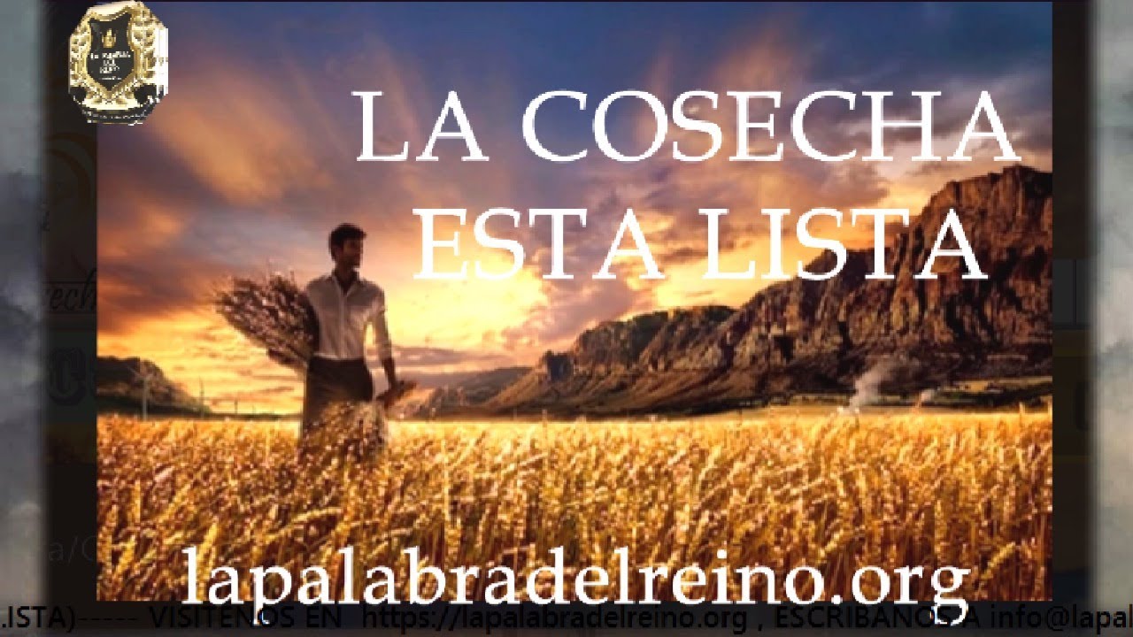 LA MUJER SAMARITANA 5 (LA COSECHA ESTA LISTA) - YouTube