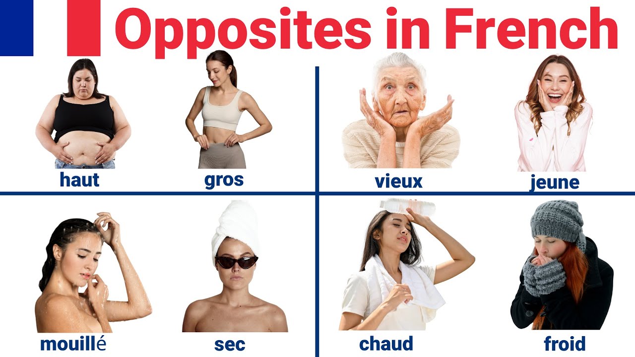 What If You Could MASTER French Opposite Words in Just 10 Minutes ...