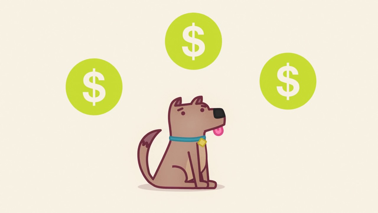 Banfield Pet Hospital – Optimum Wellness Plans for Dogs and Cats - YouTube
