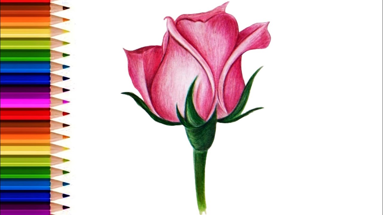 How to Colouring Your Drawing | Step by Step Video | Easy Colour Pencil ...