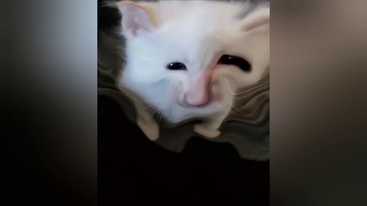 Hi herbert (compilation) part 1 - YouTube