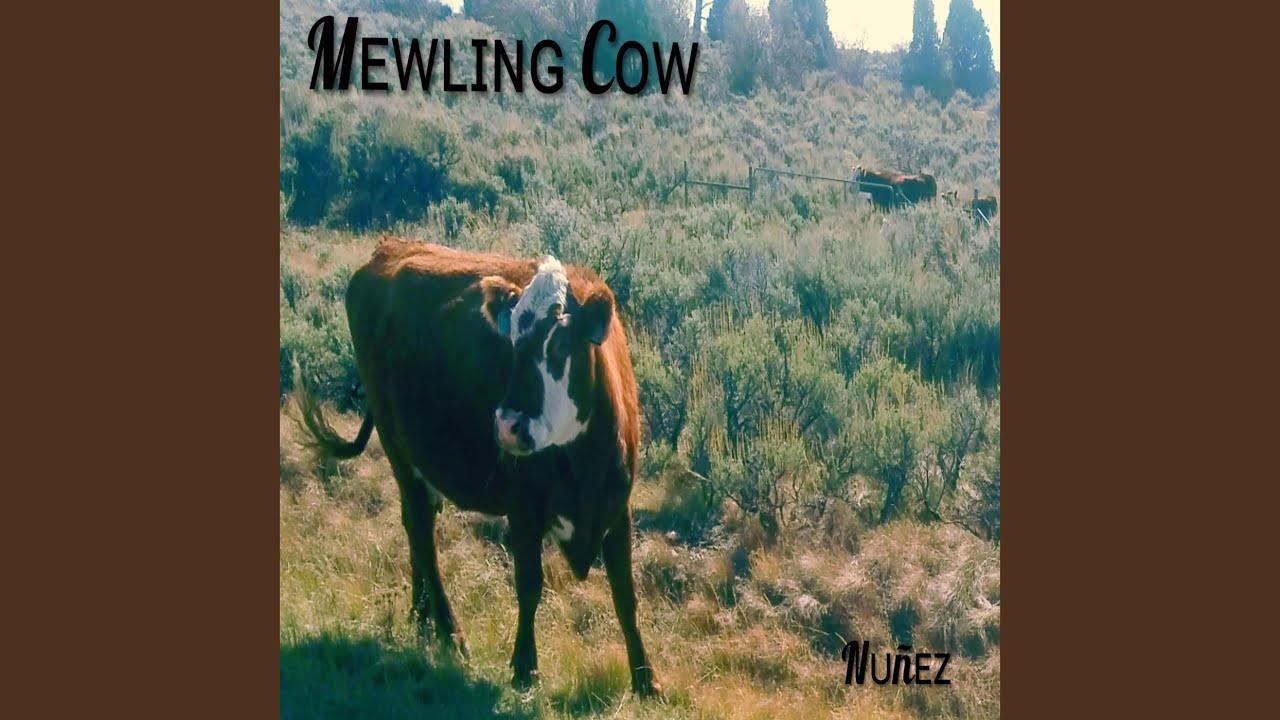 Mewling Cow - YouTube