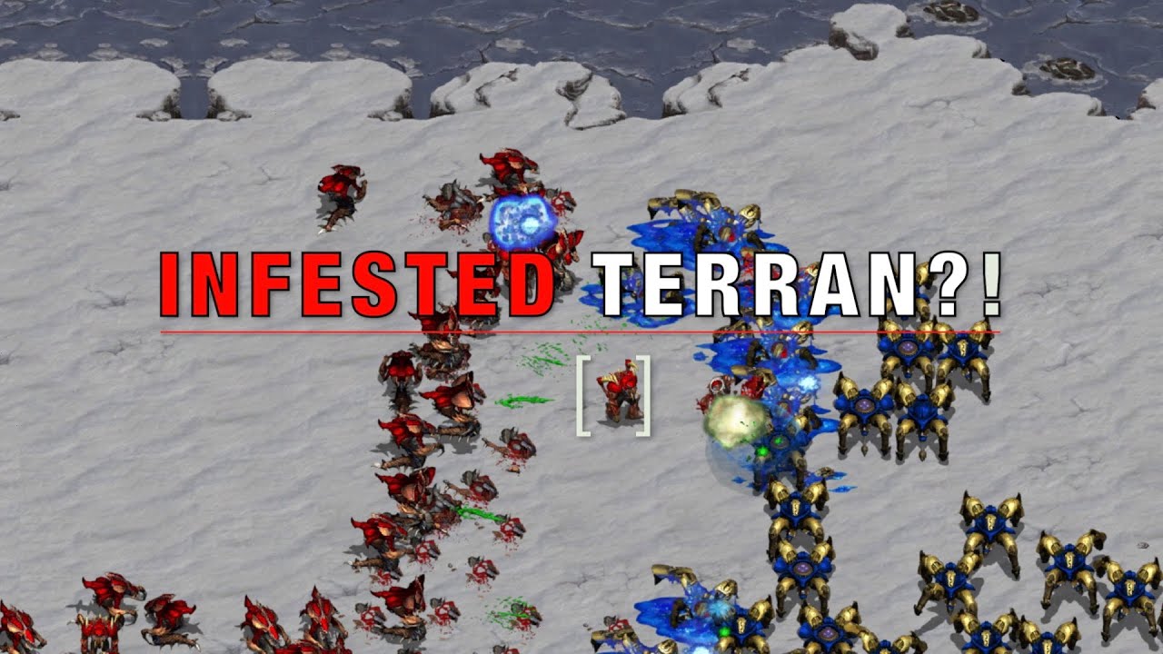 Can Infested Terran Hydra beat Zealot Dragoon? - YouTube