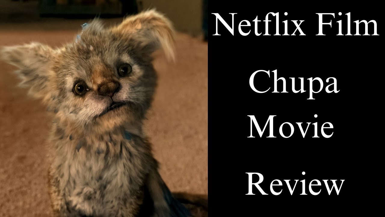 "Chupa Movie Review: Is This Netflix Film Worth Watching? [Hindi ...
