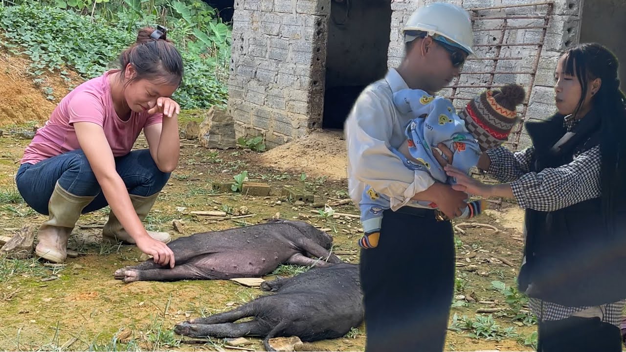 Lin Da Burying the Pigs: The Heartbreaking Tale of a Mother Left Behind ...