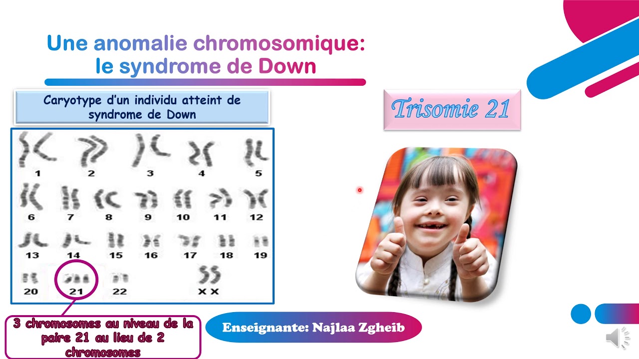 Activité 3 : Anomalies chromosomiques - partie 1 (Bio EB8) - YouTube