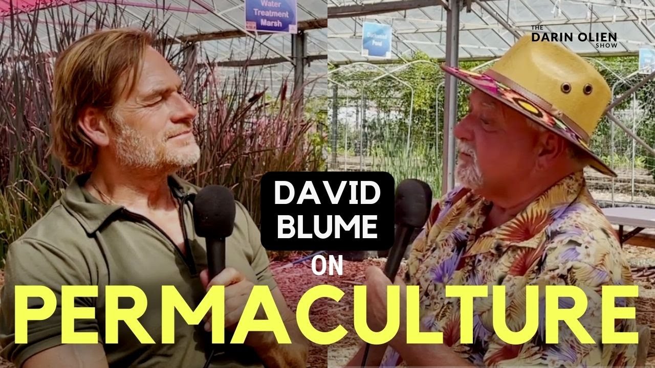 The Role of Permaculture in the Journey to Regeneration | David Blume - YouTube