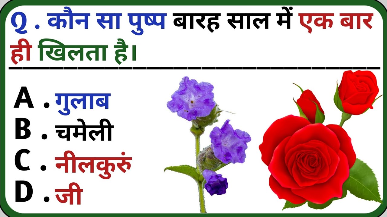 Gkquiz ॥GK Questions answers ॥ gk janral nolyj ॥ gk India ॥ gk intresting questions ॥ rk study ...