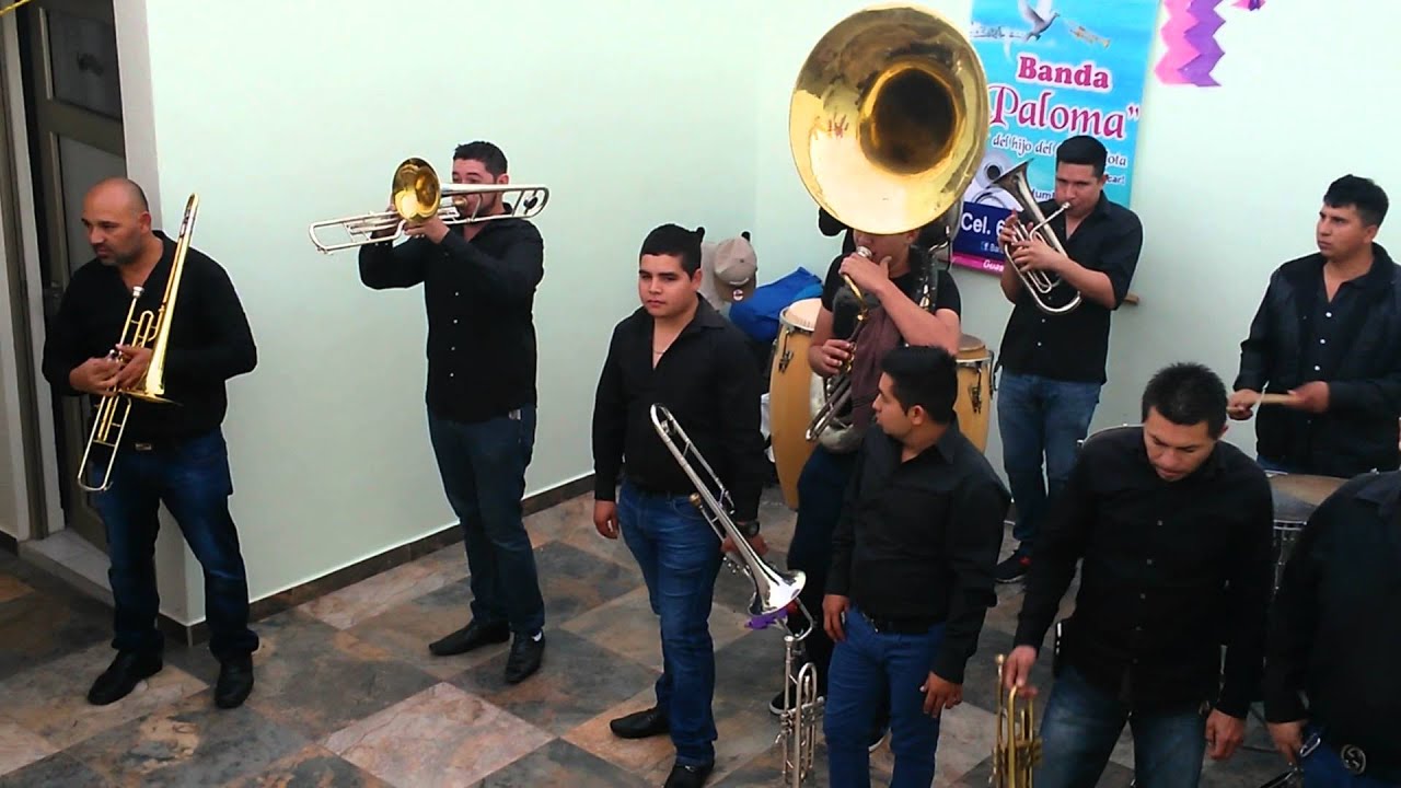 Banda paloma-corazon de texas-cel-6871176144-guasave sinaloa mexico ...