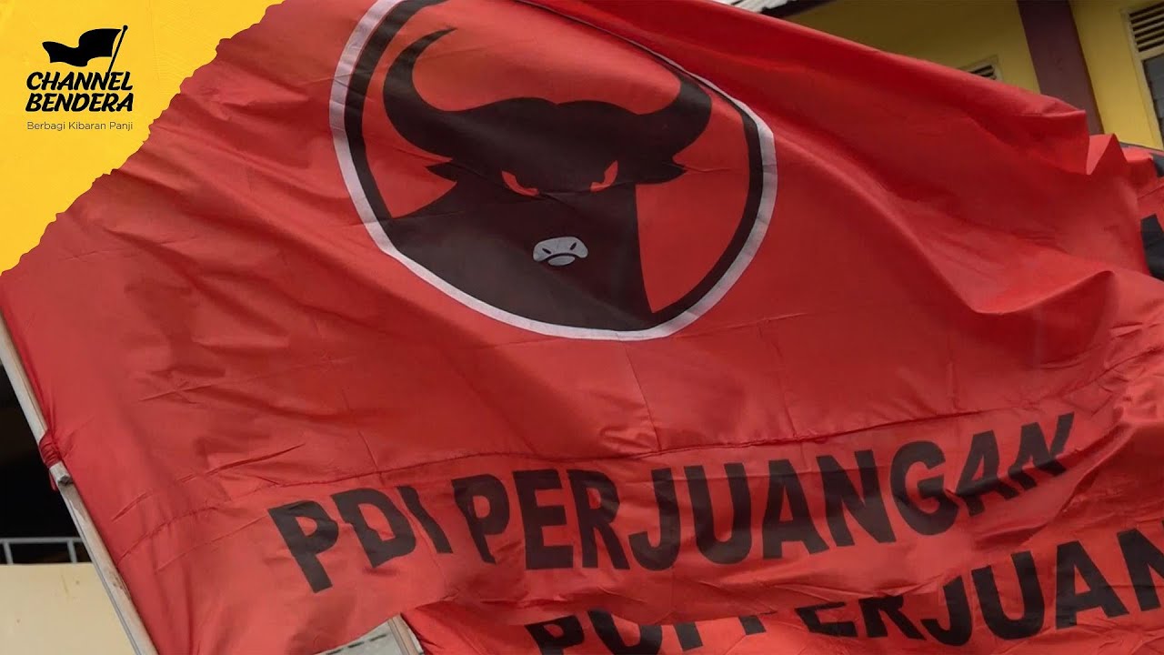 Bendera PDIP FREE Footage - YouTube